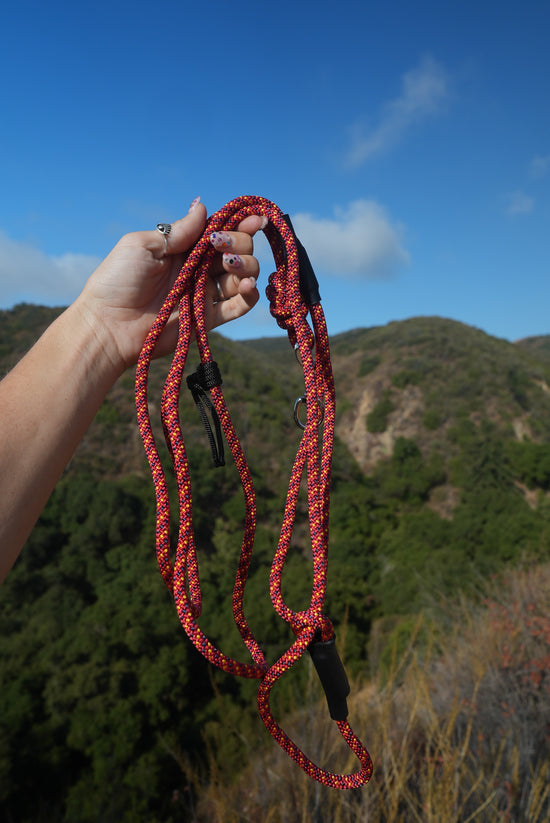 The Everyday Slip Lead 10 Foot – The Everyday Trainer Shop